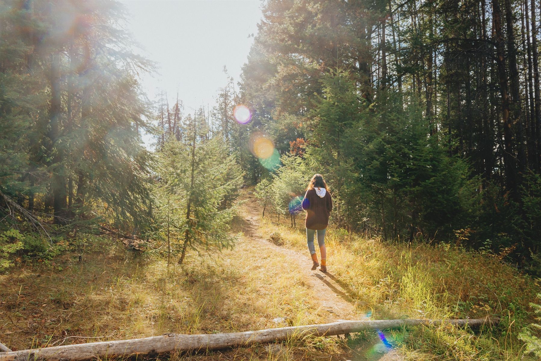 5 of the Best Fall Hikes in Big Sky