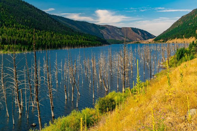 Montana Big Sky Spring