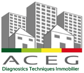 ACEG DIAGNOSTICS IMMOBILIER