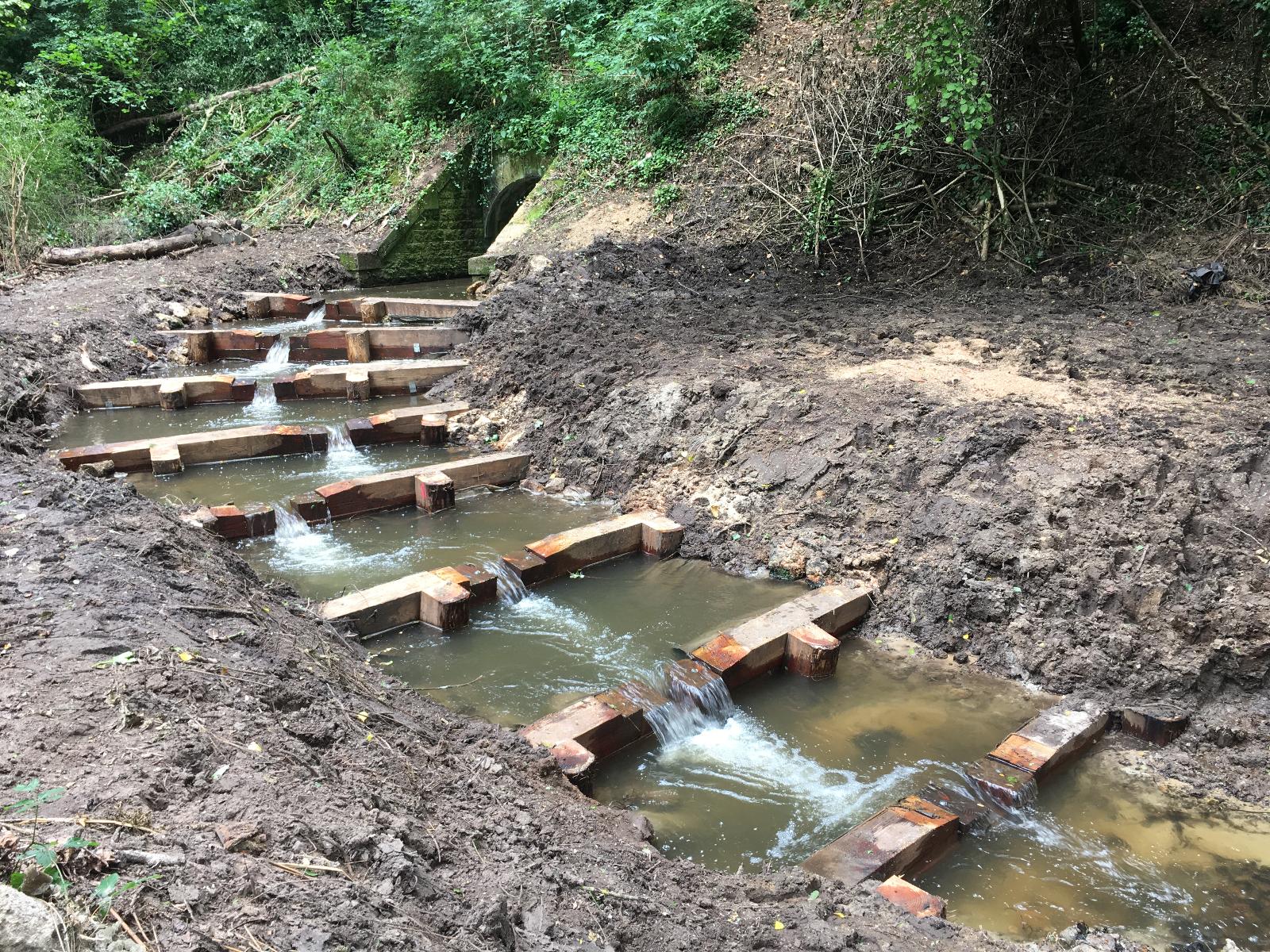 Aménagement de berges et entretien de végétaux de rivière, Sarthe