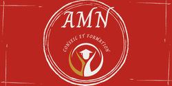 AMN Conseil et Formation en région PACA - Audit et consulting
