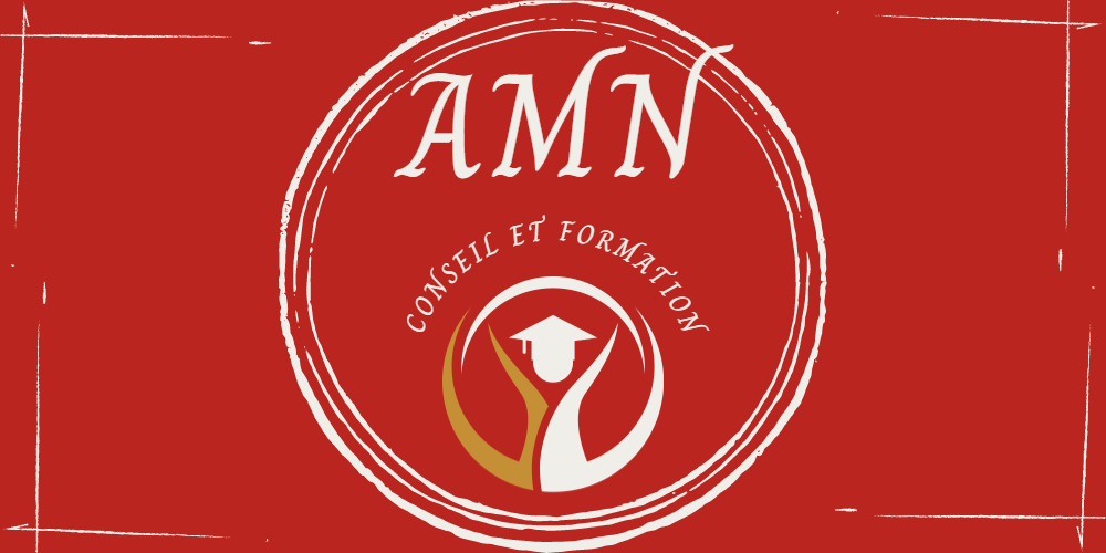 AMN Conseil et Formation en région PACA - Audit et consulting