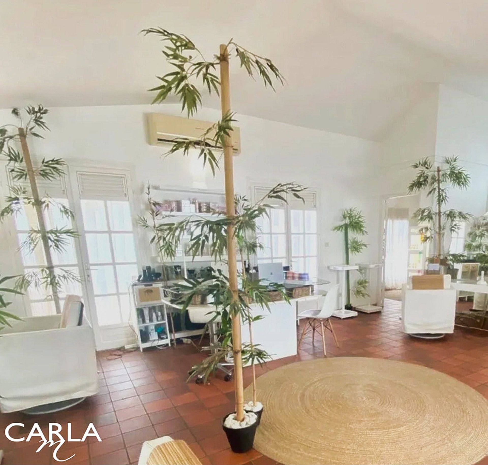 CARLA M, salon de coiffure et soins des cheveux : Le Lamentin
