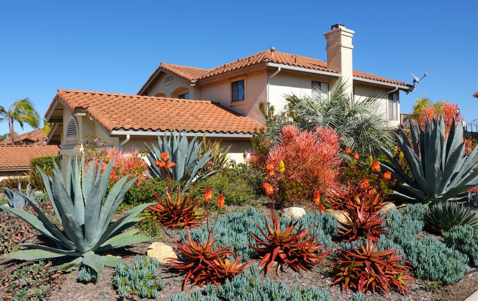 Top Things to Do in Glendale Arizona | Attractions & Activities Guide