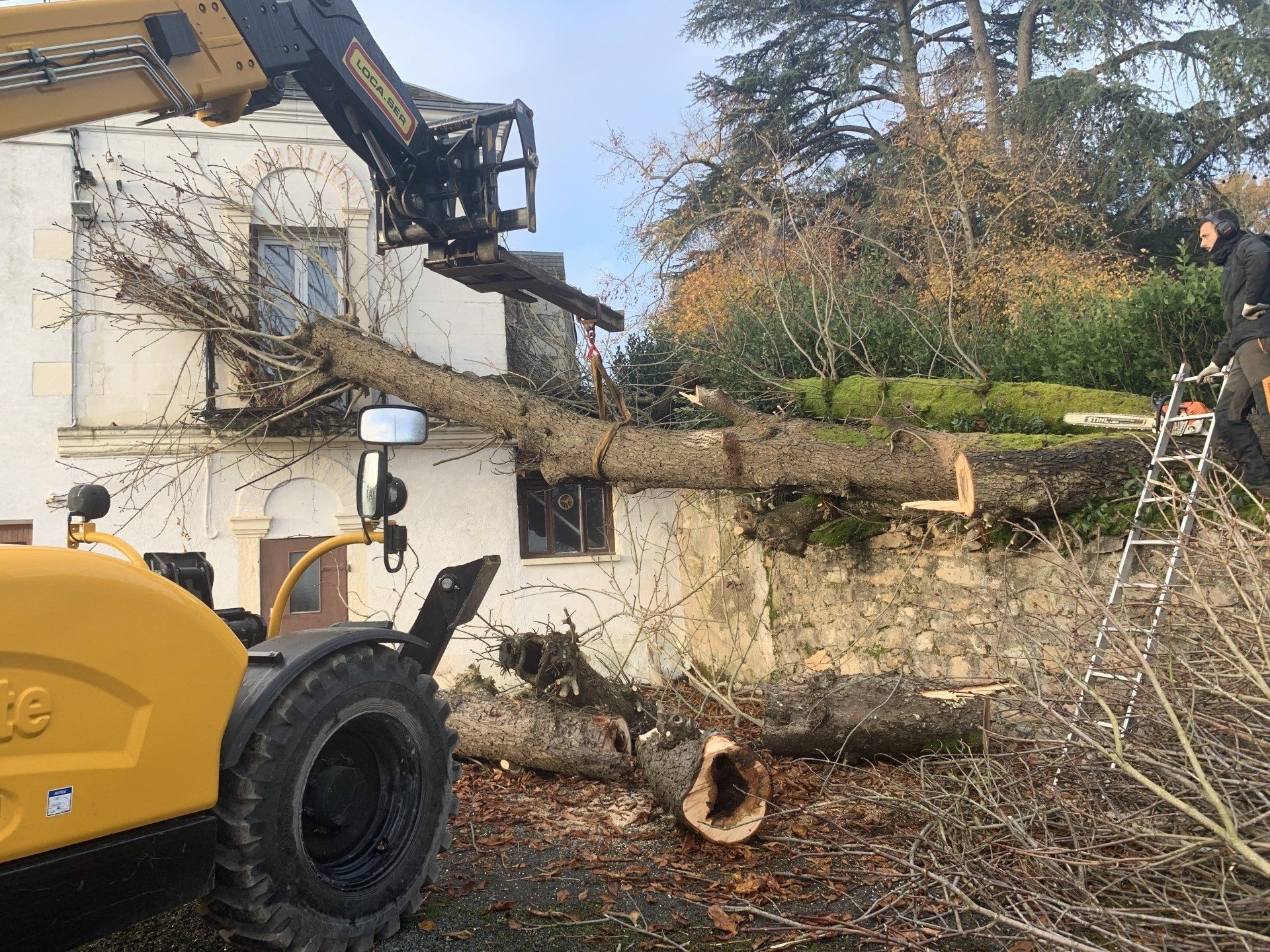 Élagage et abattage d'arbre sur Saumur : taille douce, électrique
