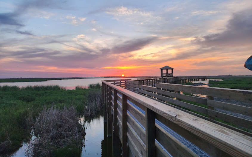 Leonabelle Turnbull Birding Center - Port Aransas, TX