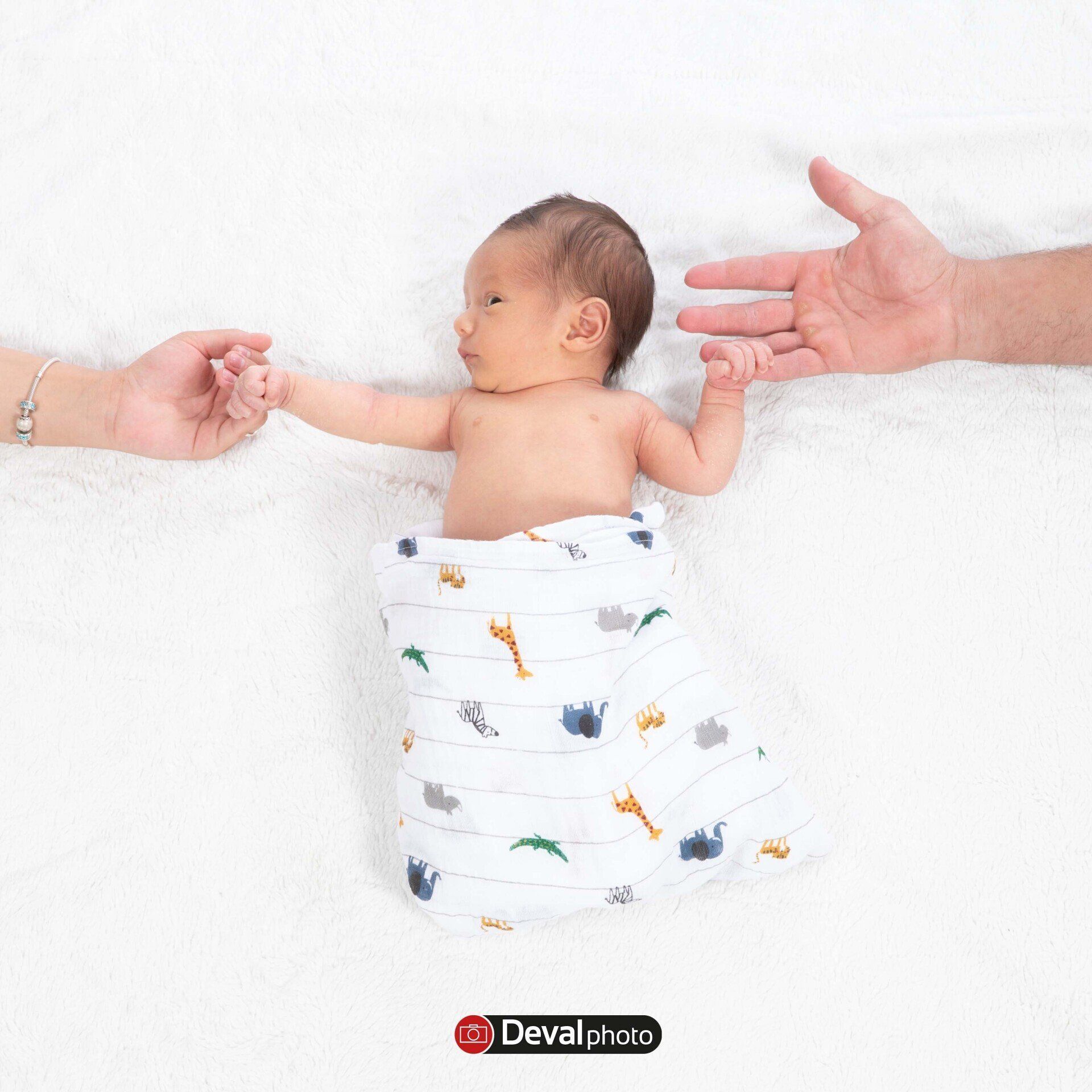 Deval Photo, votre photographe et matériel photo à Valence