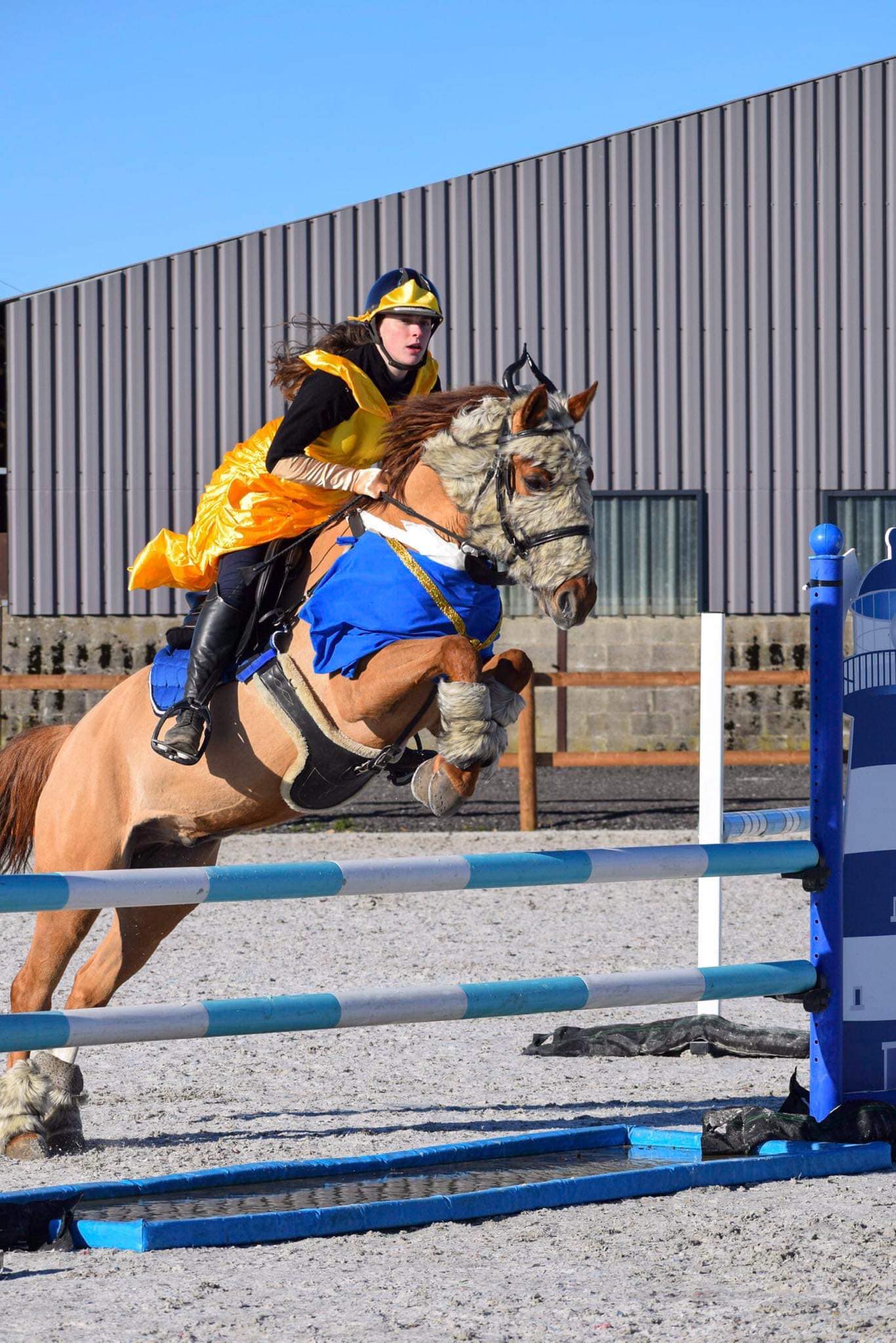Galerie photos de notre centre équestre à Theux | Jonckeu Equestrian