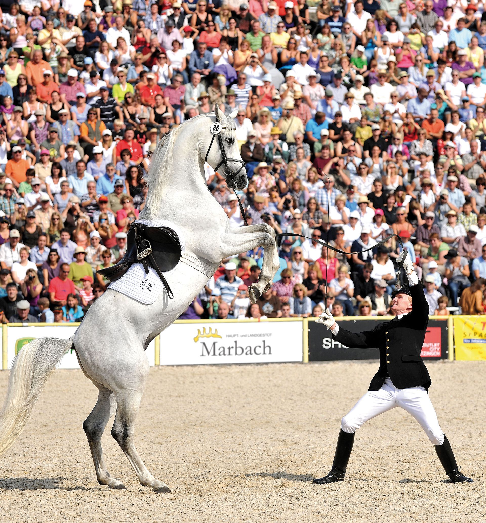 Reiseangebote | Niederstetten | Ziegler Reisen GmbH & Co.KG