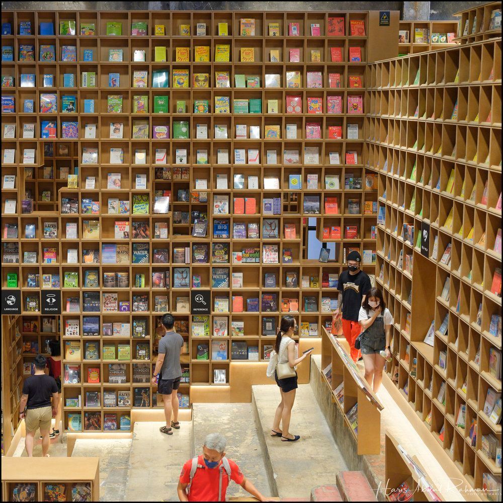 REXKL: Honest Review