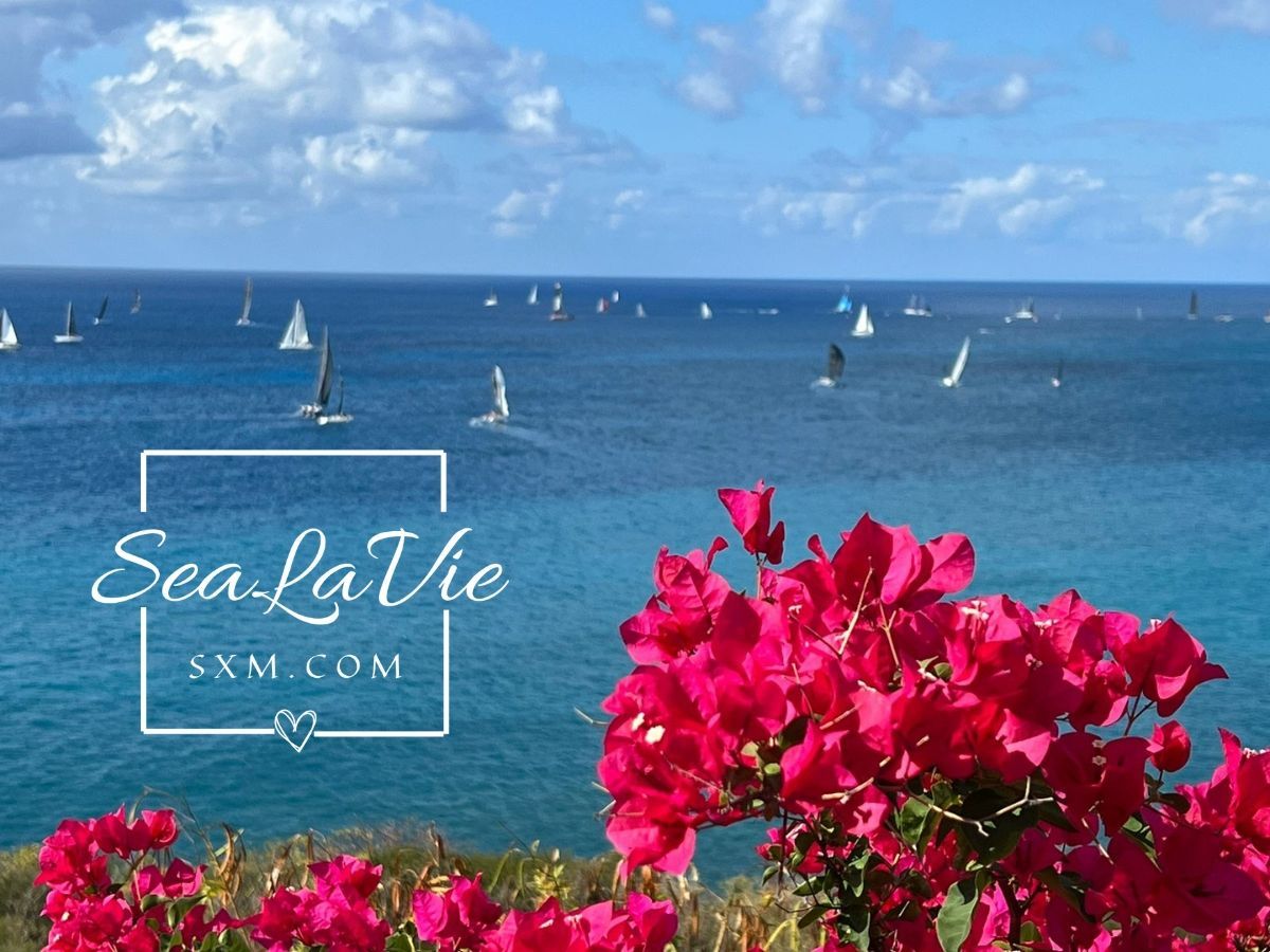 SeaLaVie SXM | Vacation Rental Company in Sint Maarten