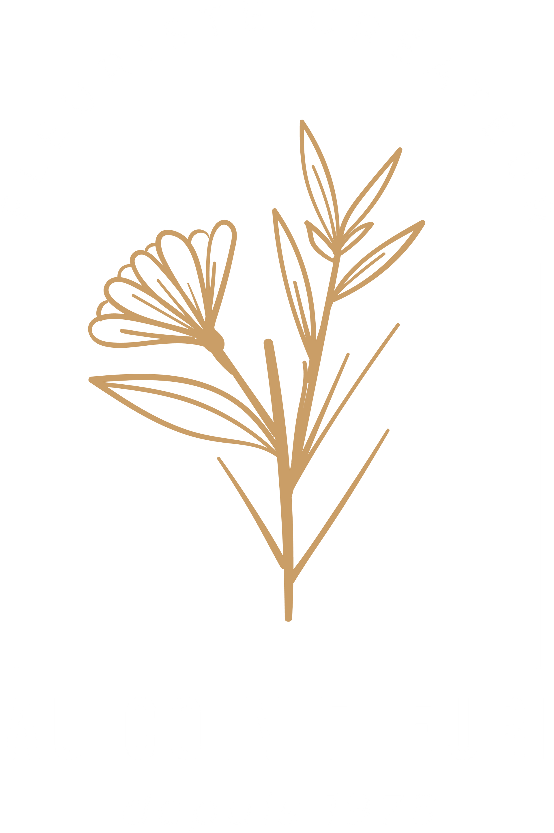 Boutique En Ligne Du Fleuriste Au Coin Fleuri WATTRELOS