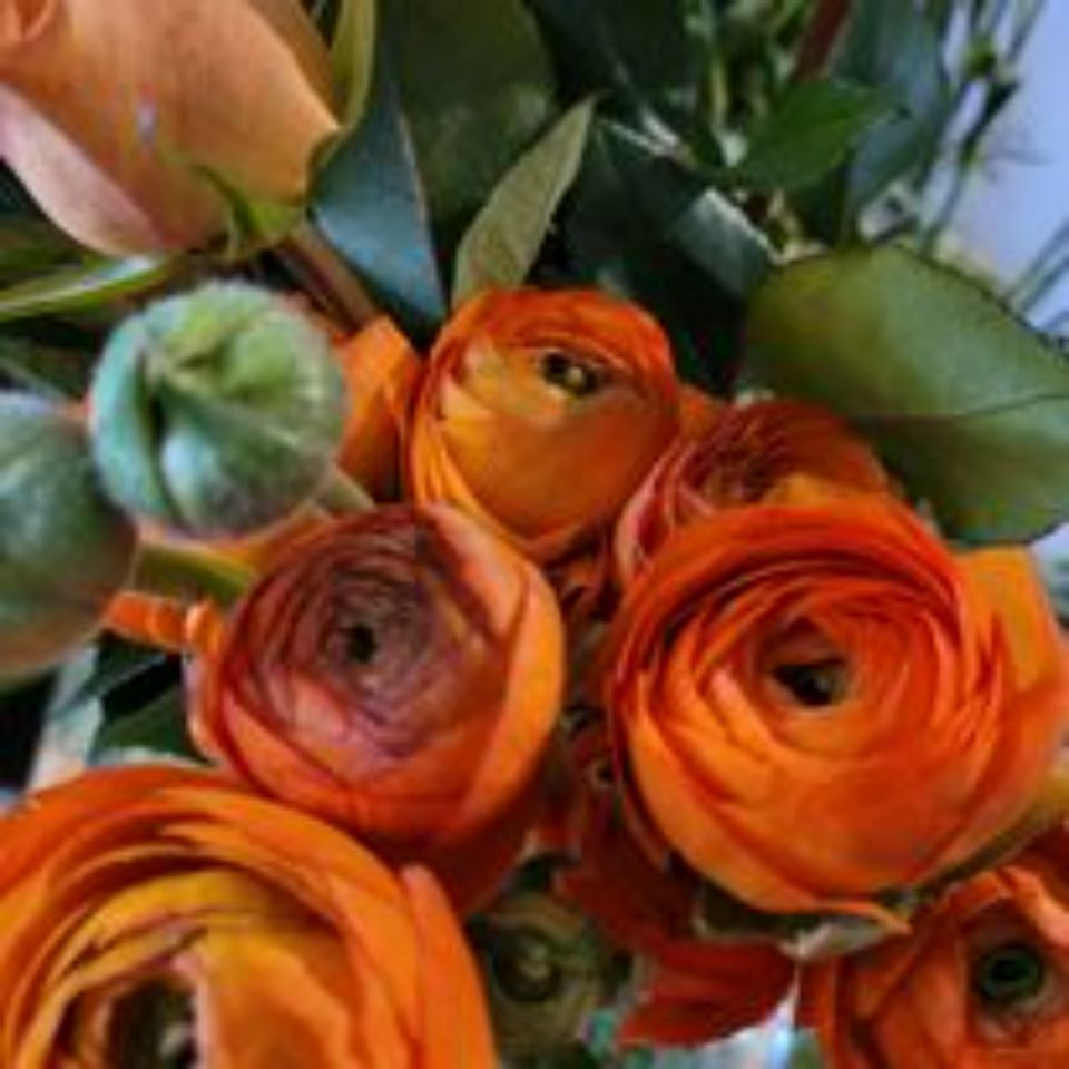 Blumen | St. Gallen | Blumen Atelier Koster