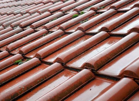 Entretien de toiture - Nettoyage et traitement de toiture