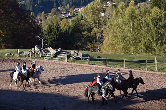 La Jumenterie Saint Maurice Sur Moselle