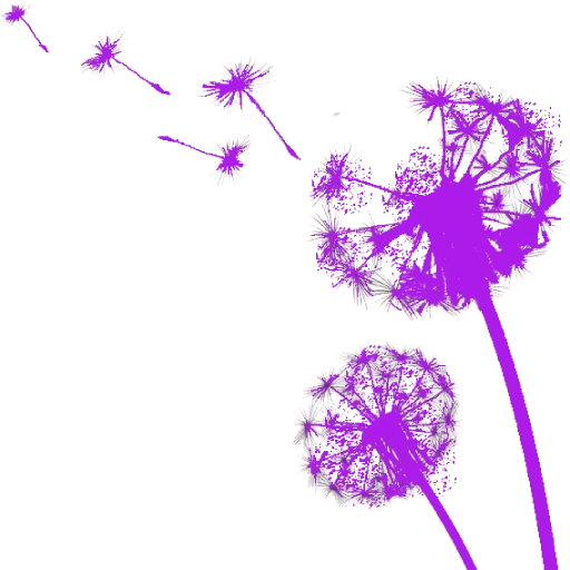 Vorsorge | Regina Ranke Bestattungen GmbH | Pößneck