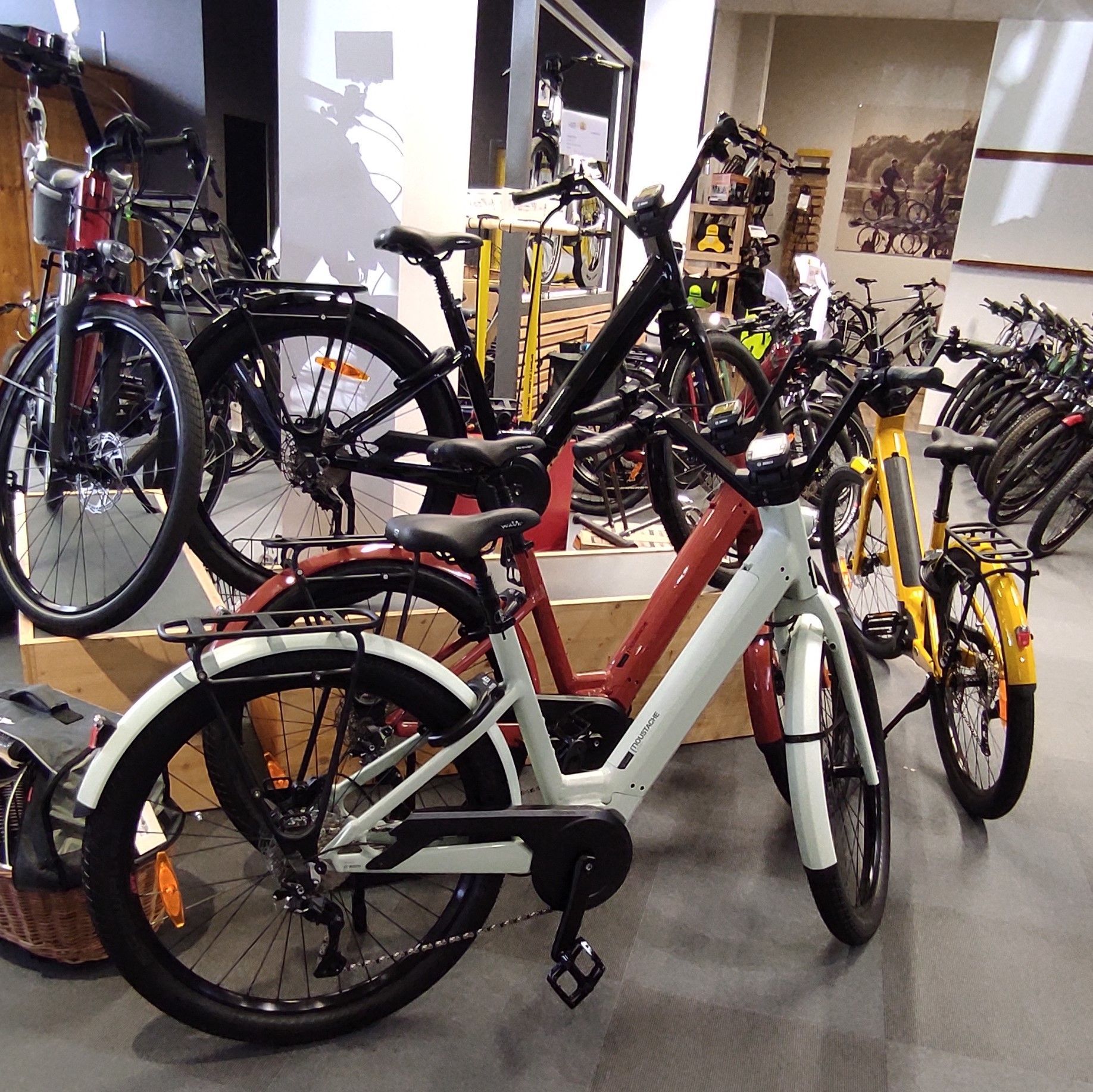 Vente de vélo à Limoges - Vélos de route, de voyage et VTT