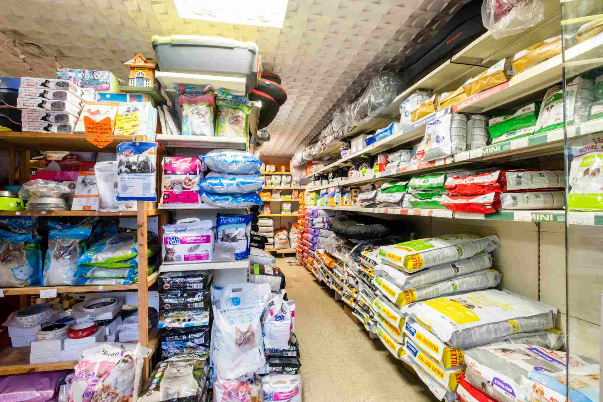 Alimentation pour chien à Blagnac - Magasin alimentation animale