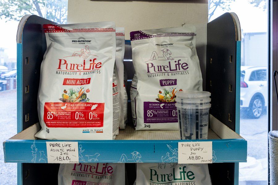 Animalerie pour chien à Blagnac - Découvrez nos produits