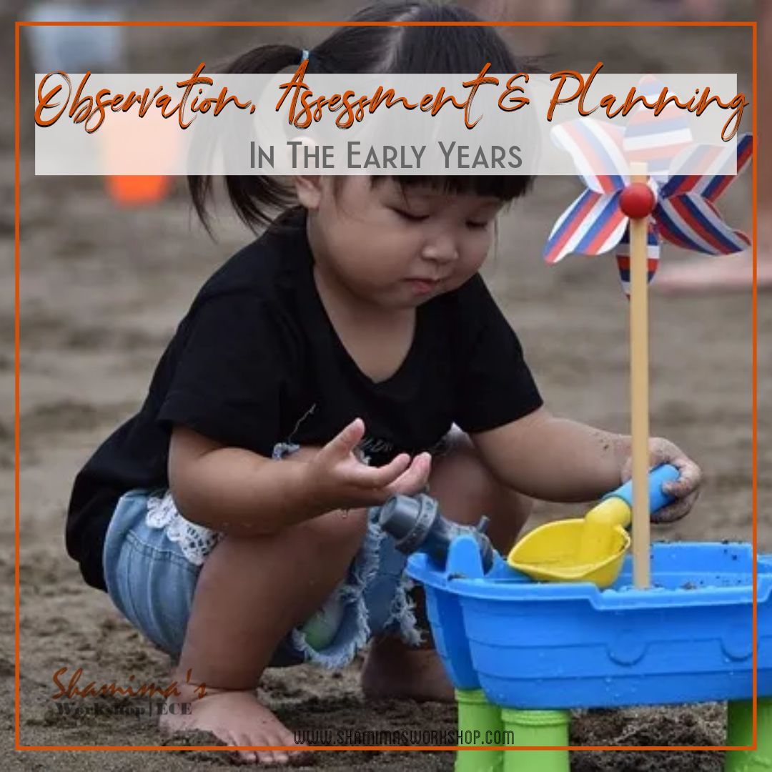 Observation, Assessment, and Planning in the Early Years